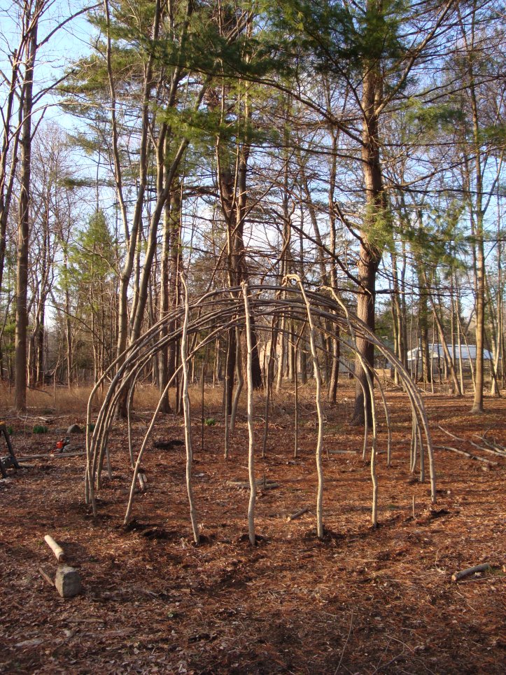 Construction of An Eastern Woodland Indian Wigwam – Nature Into Action