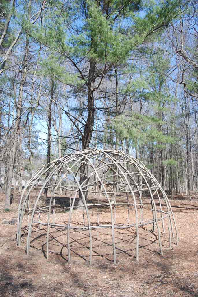 Construction of An Eastern Woodland Indian Wigwam – Nature Into Action