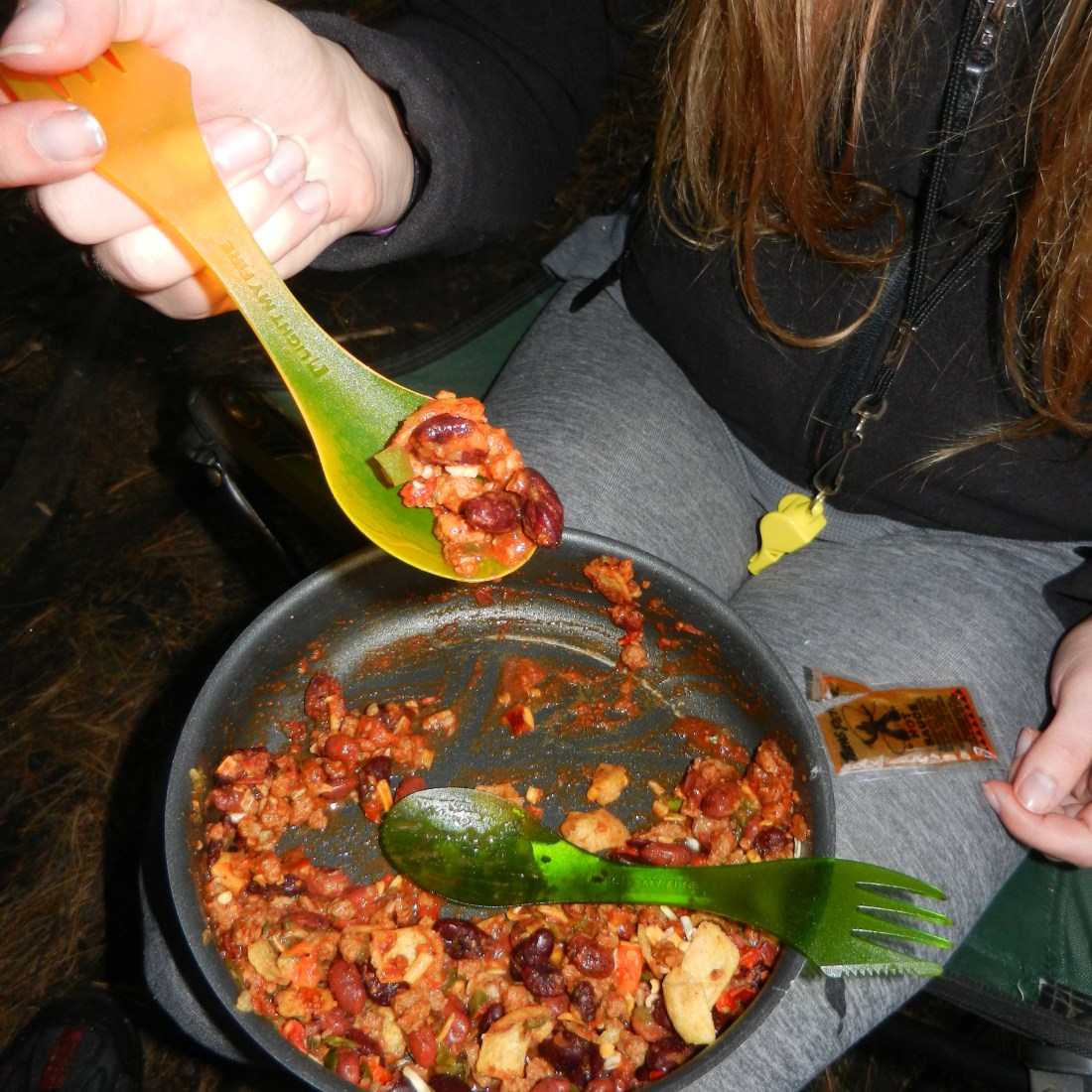 Adirondack St. Regis Wilderness Area – Nine Carries Canoe Trip – Nature ...