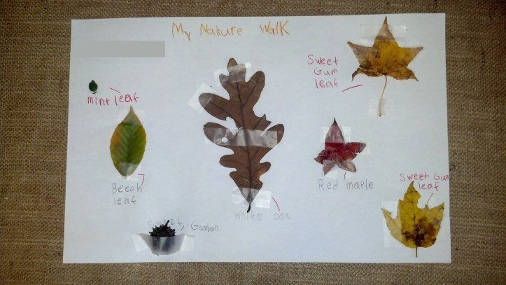 12 Autumn Seasonal Discovery Nature Crafts – Nature Into Action