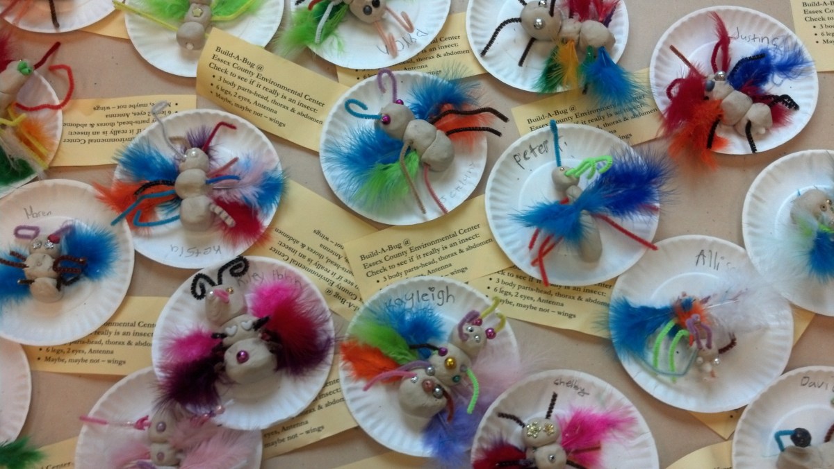 Buzz Into Action with the Build-A-Bug Activity – Nature Into Action