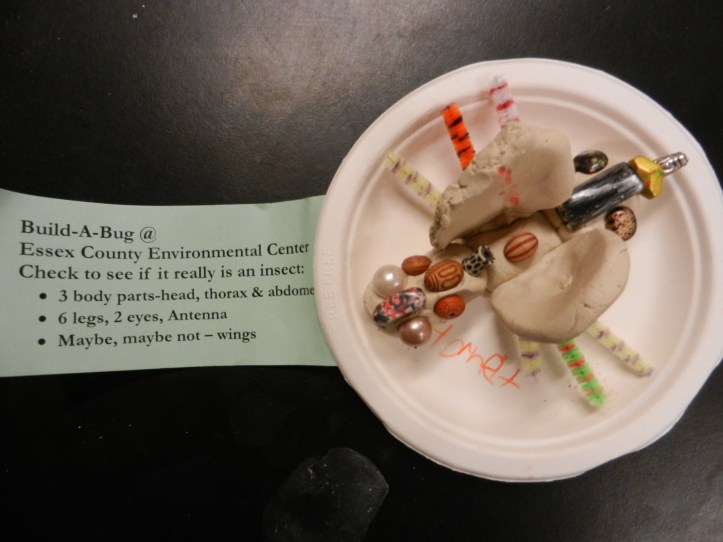 Buzz Into Action with the Build-A-Bug Activity – Nature Into Action