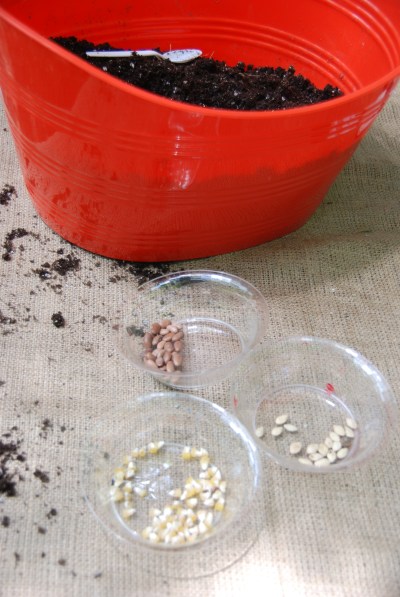 20 Kid-Approved Native American Crafts & Games – Nature Into Action