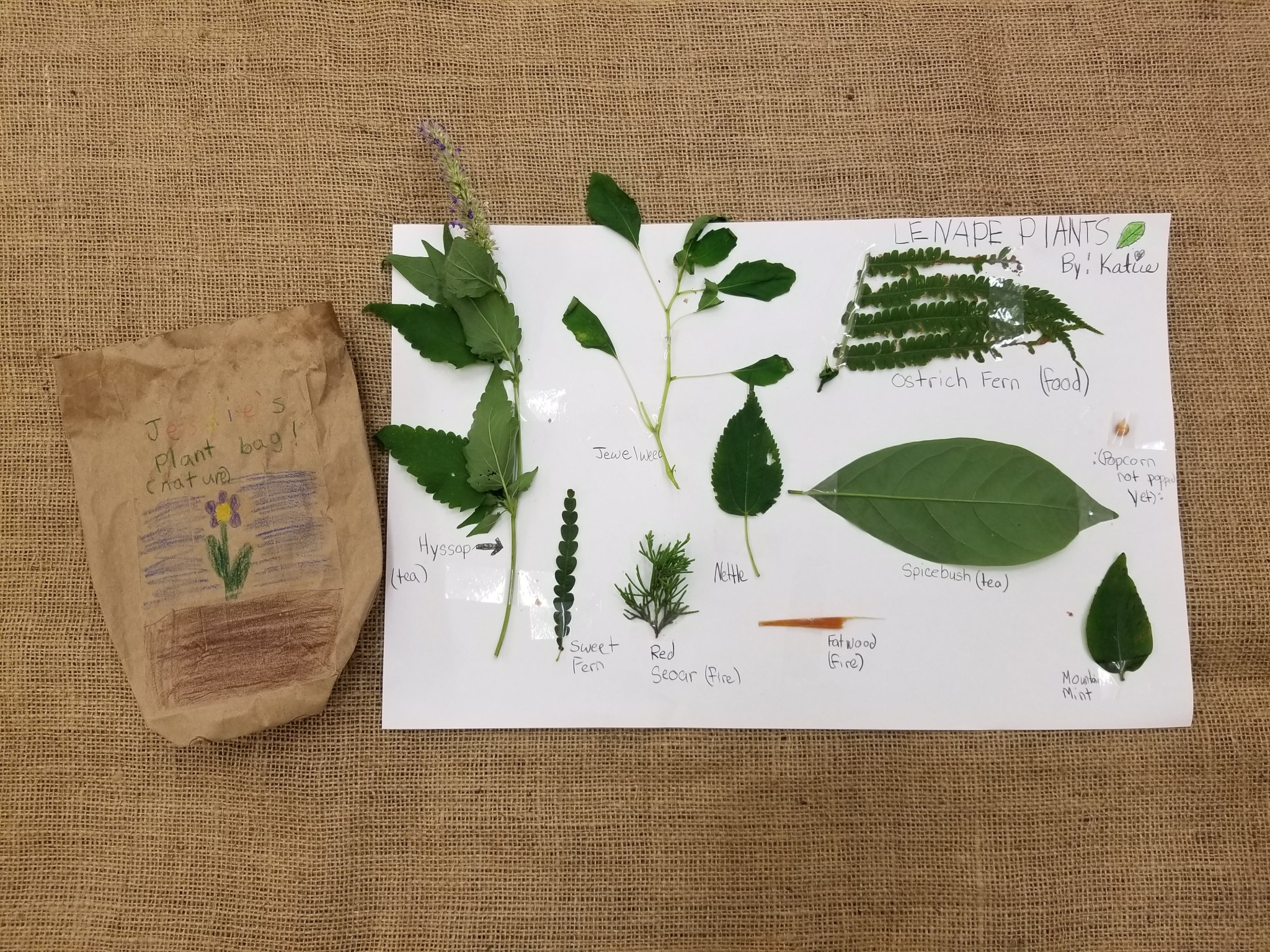 20 Kid-Approved Native American Crafts & Games – Nature Into Action