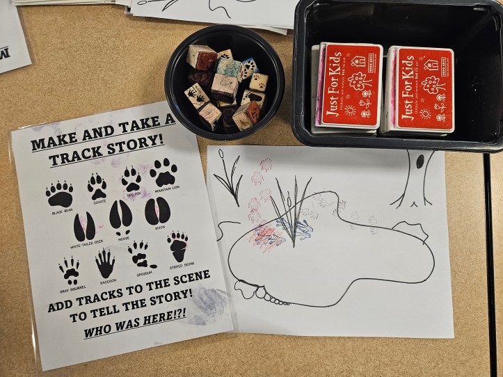 Tracking with Kids – Uncover and Discover – Nature Into Action