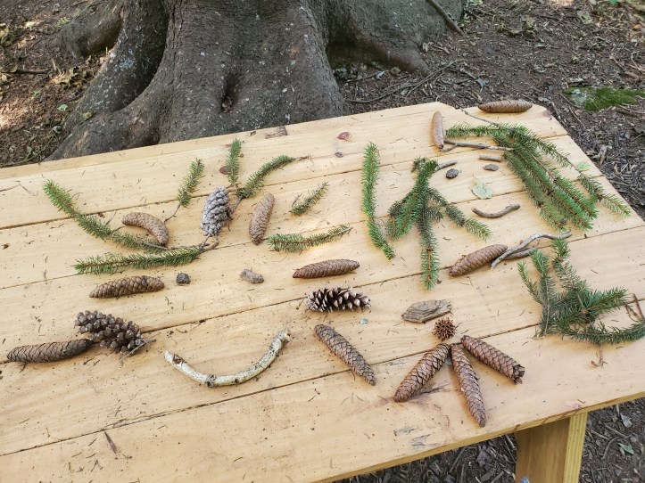 Ten Wild Nature Art Crafts – Nature Into Action