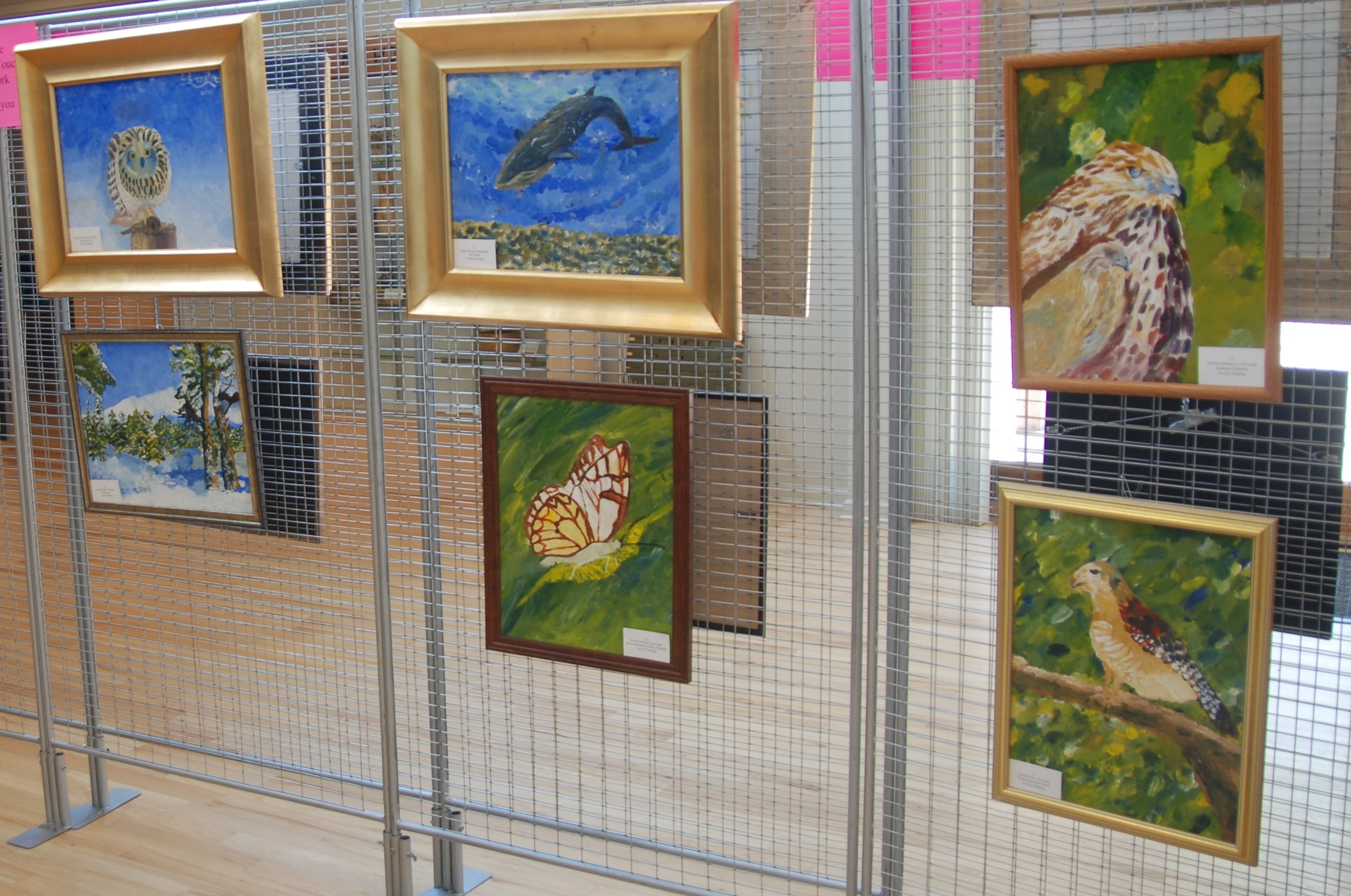 Art & Threatened & Endangered Species of New Jersey – Nature Into Action