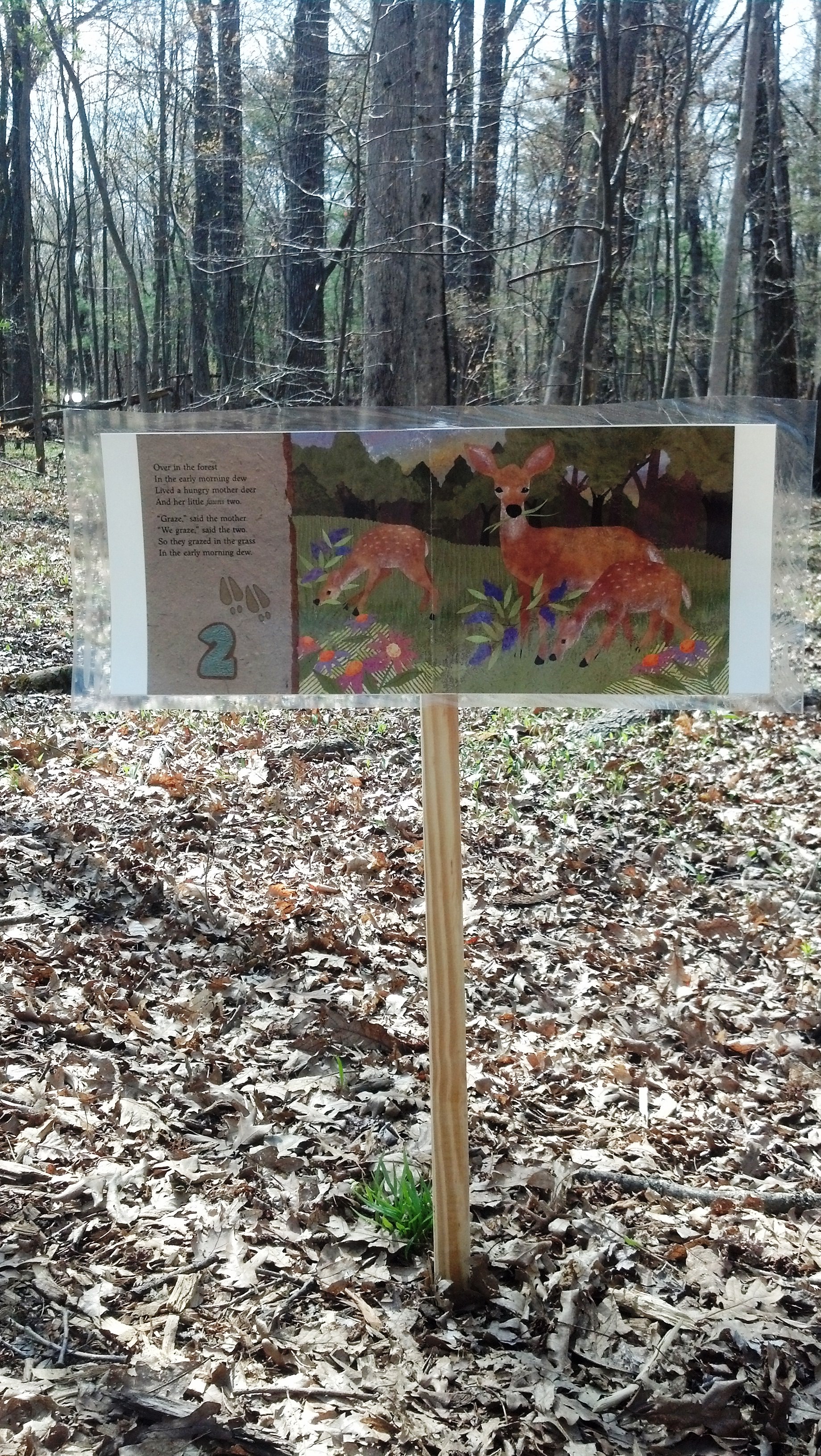 Take a Story Walk – Nature Into Action