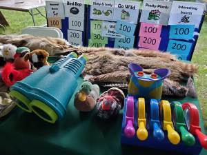 Wild About Wildlife – Inquiry Games – Nature Into Action