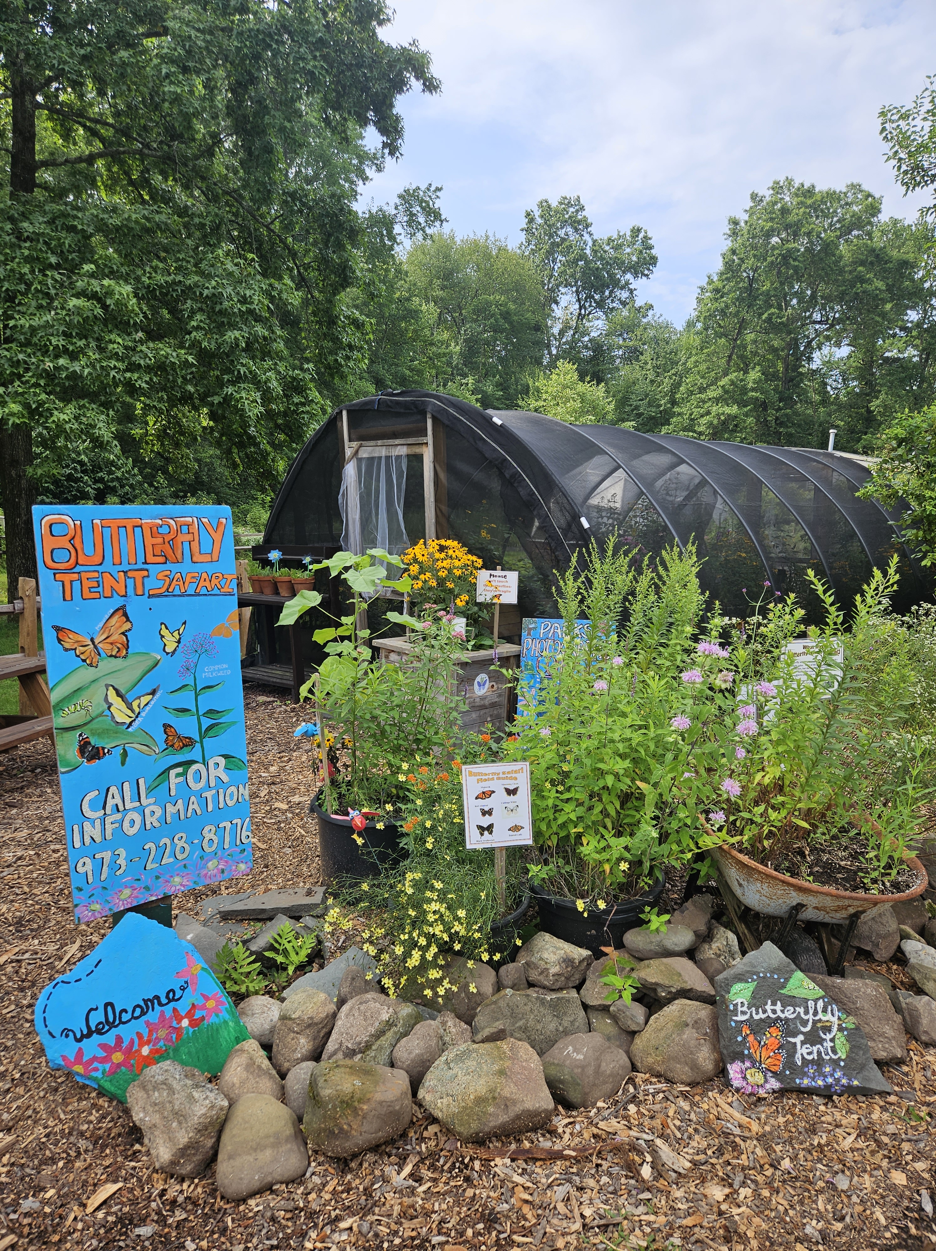 Butterfly Tent Safari – Nature Into Action