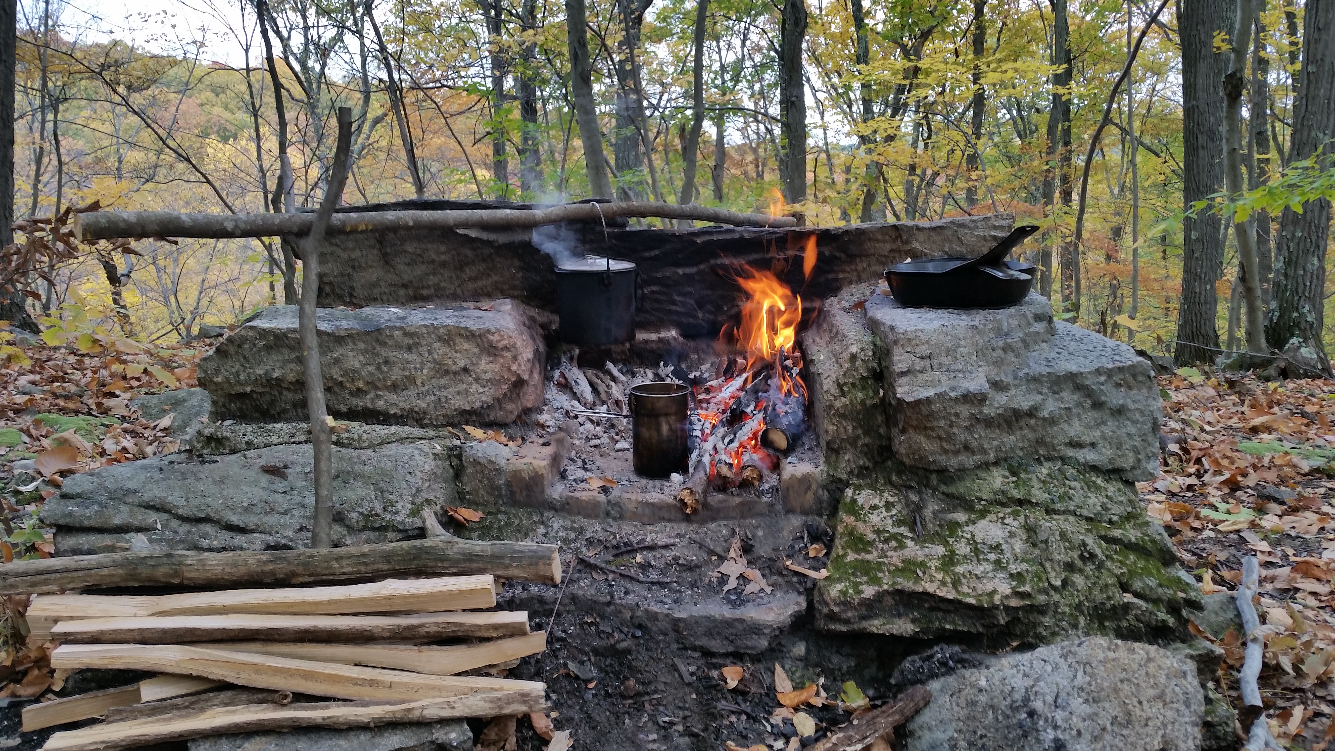 24 Wild Foraged Autumn Ingredients Cooked over a Campfire – Nature Into ...