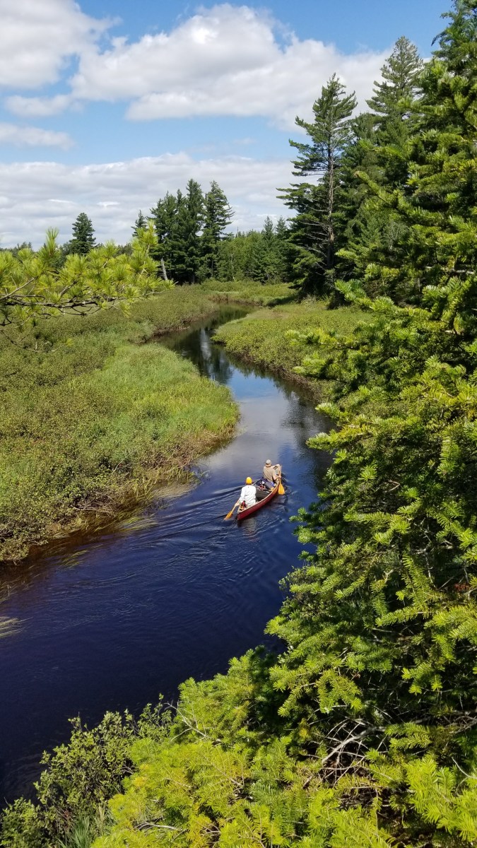 Bog River Flow to Oswagatchie Traverse – Adirondack Canoe/Hammock Camp ...