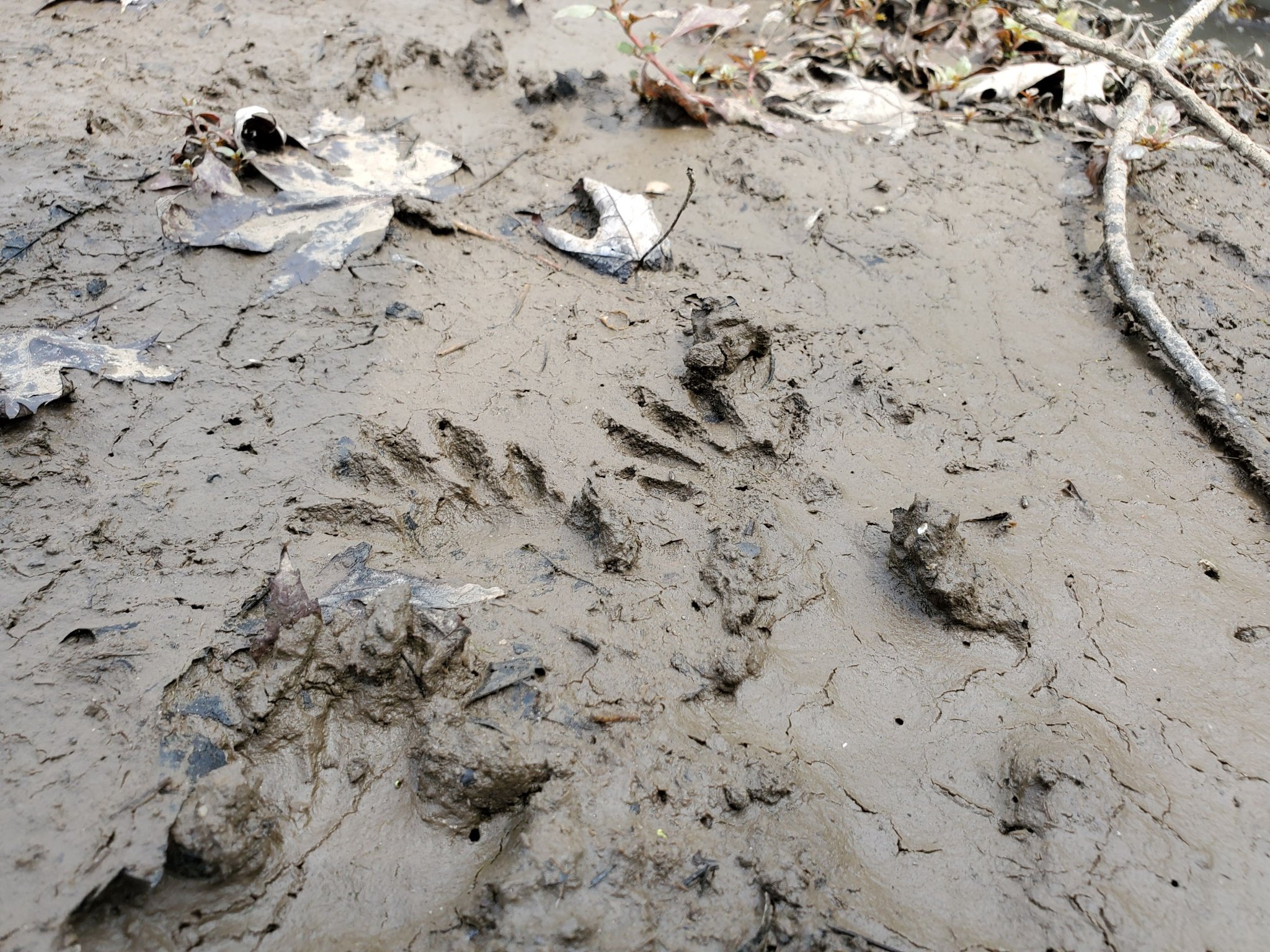 The Upper Passaic River Water Trail Map – Nature Into Action