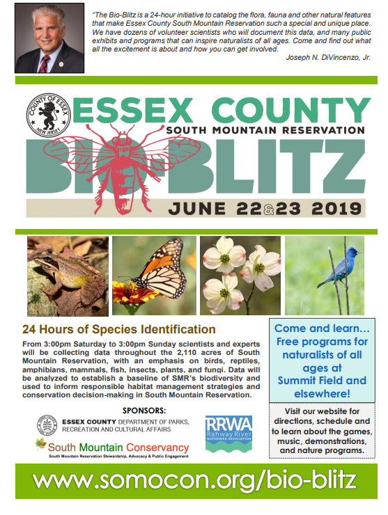iNaturalist BioBlitz Project @ South Mountain Reservation – Nature Into ...