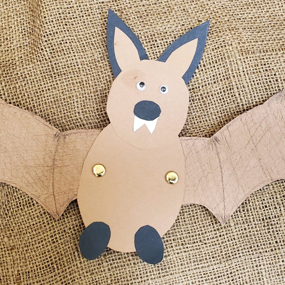 Bat Education Workshop with Kids – Nature Into Action
