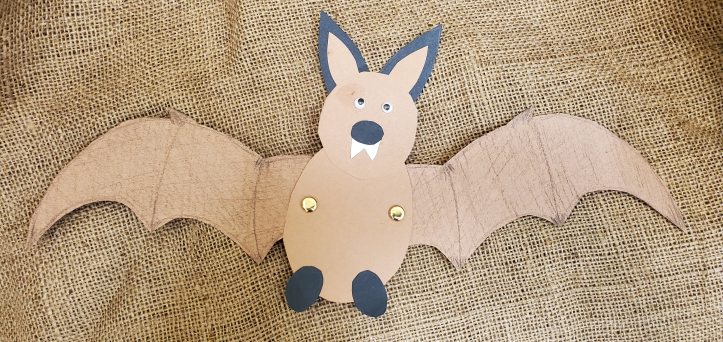 Bat Education Workshop with Kids – Nature Into Action