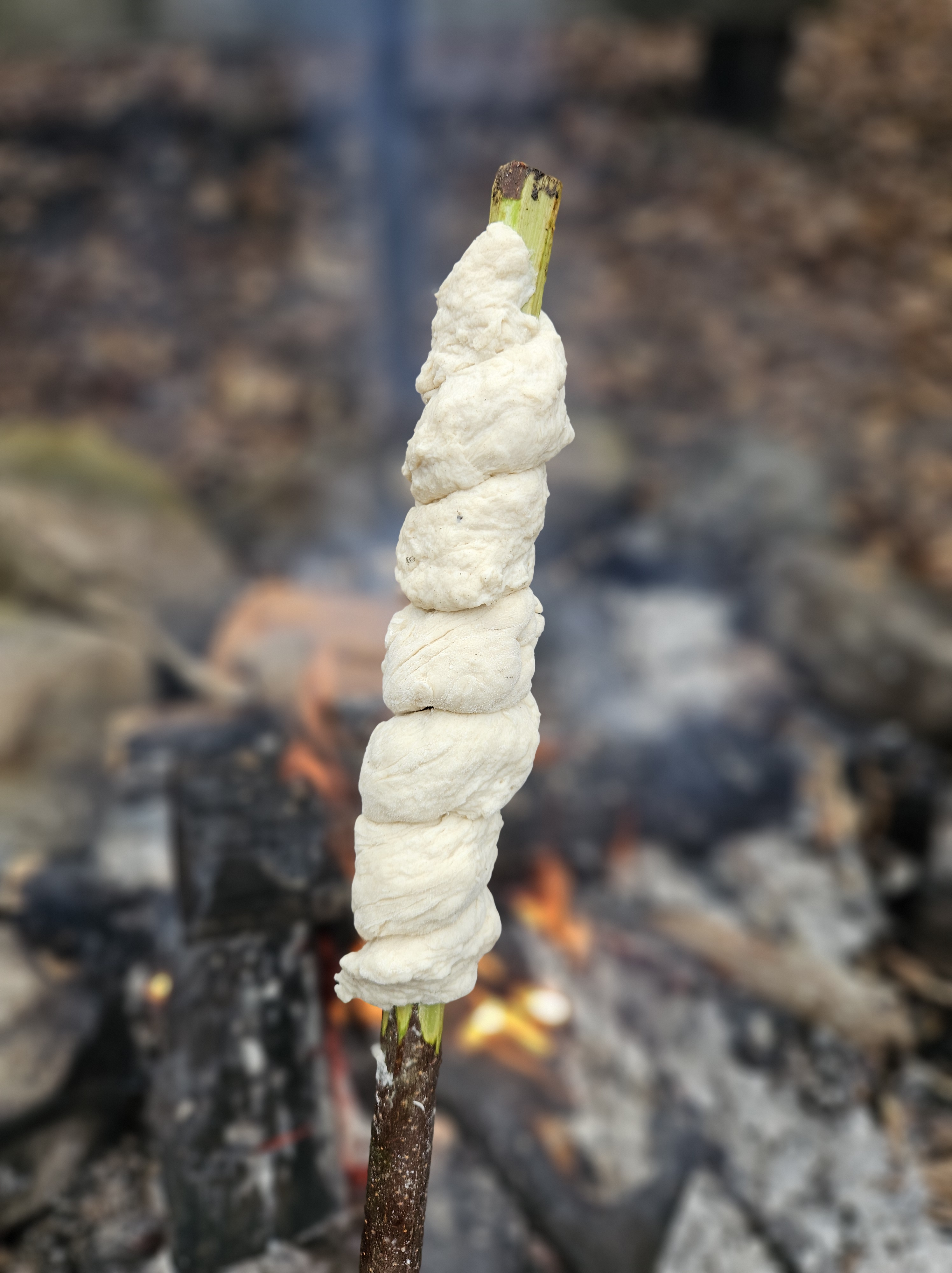 Campfire Bannock Making with Kids – Nature Into Action