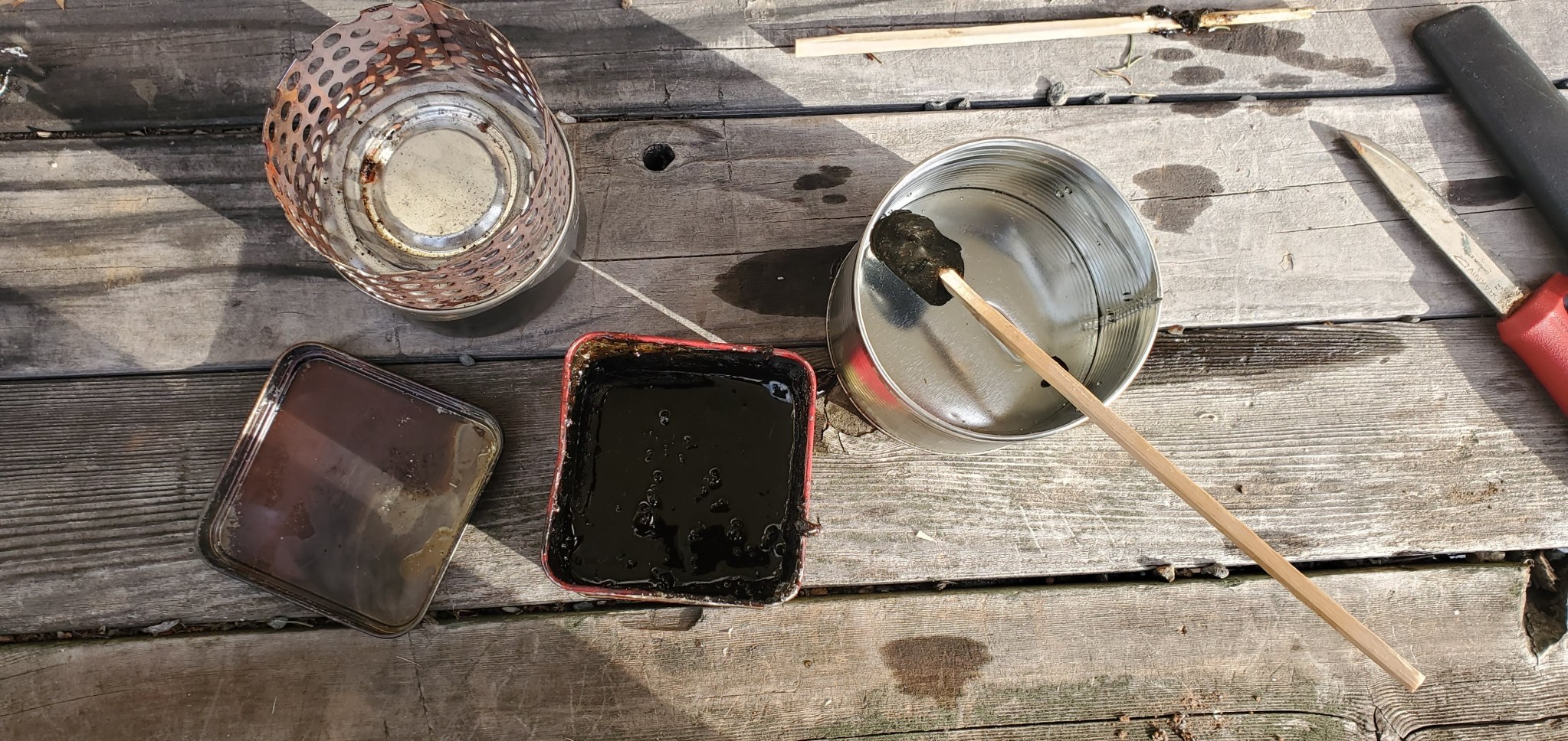 Gifts of the Spruce: Five Steps to Make Conifer Pitch Glue with Kids ...