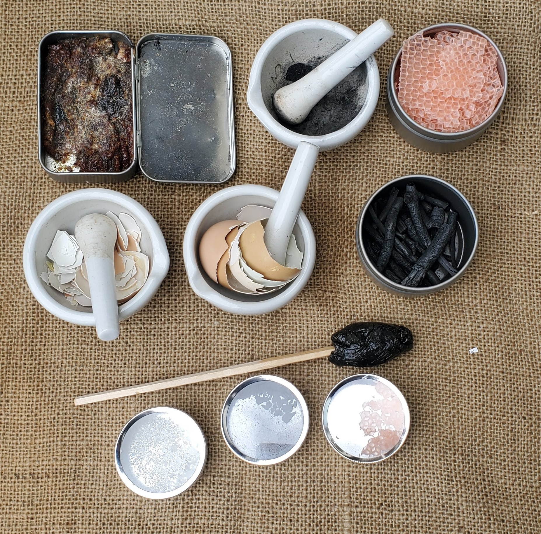 Gifts of the Spruce: Five Steps to Make Conifer Pitch Glue with Kids ...