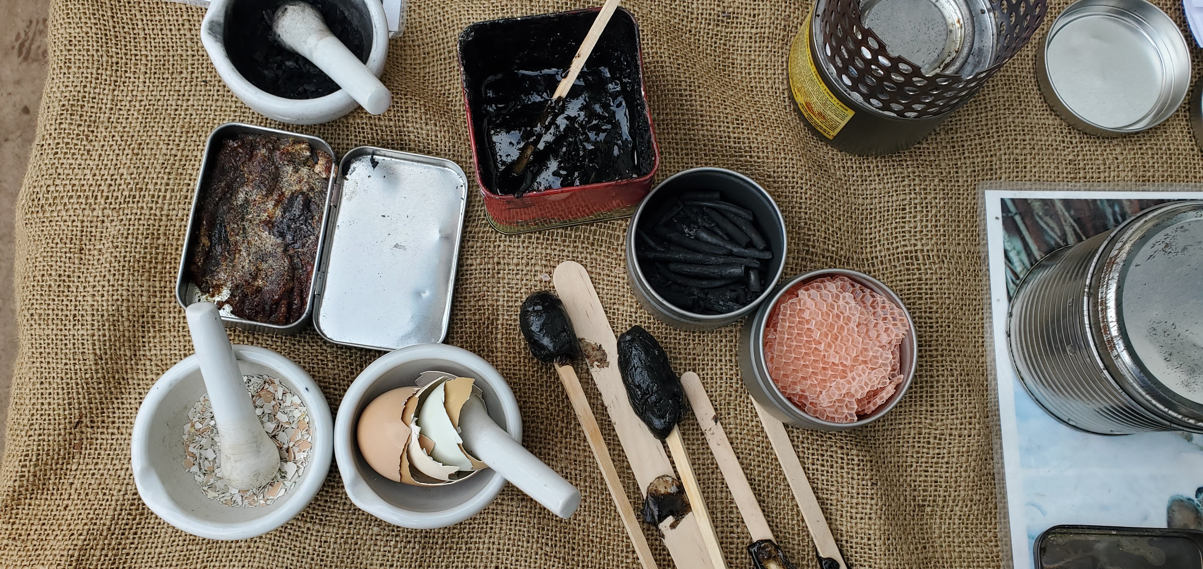 Gifts of the Spruce: Five Steps to Make Conifer Pitch Glue with Kids ...