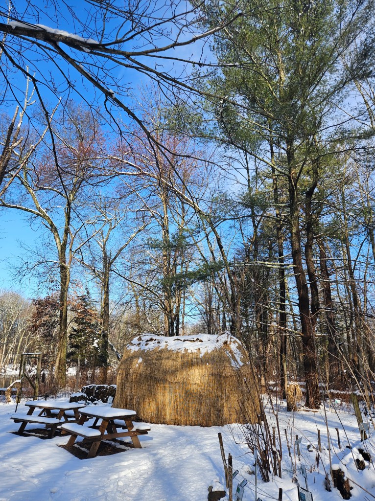 Building a Lenape Longhouse as an Eagle Scout Project – Nature Into Action
