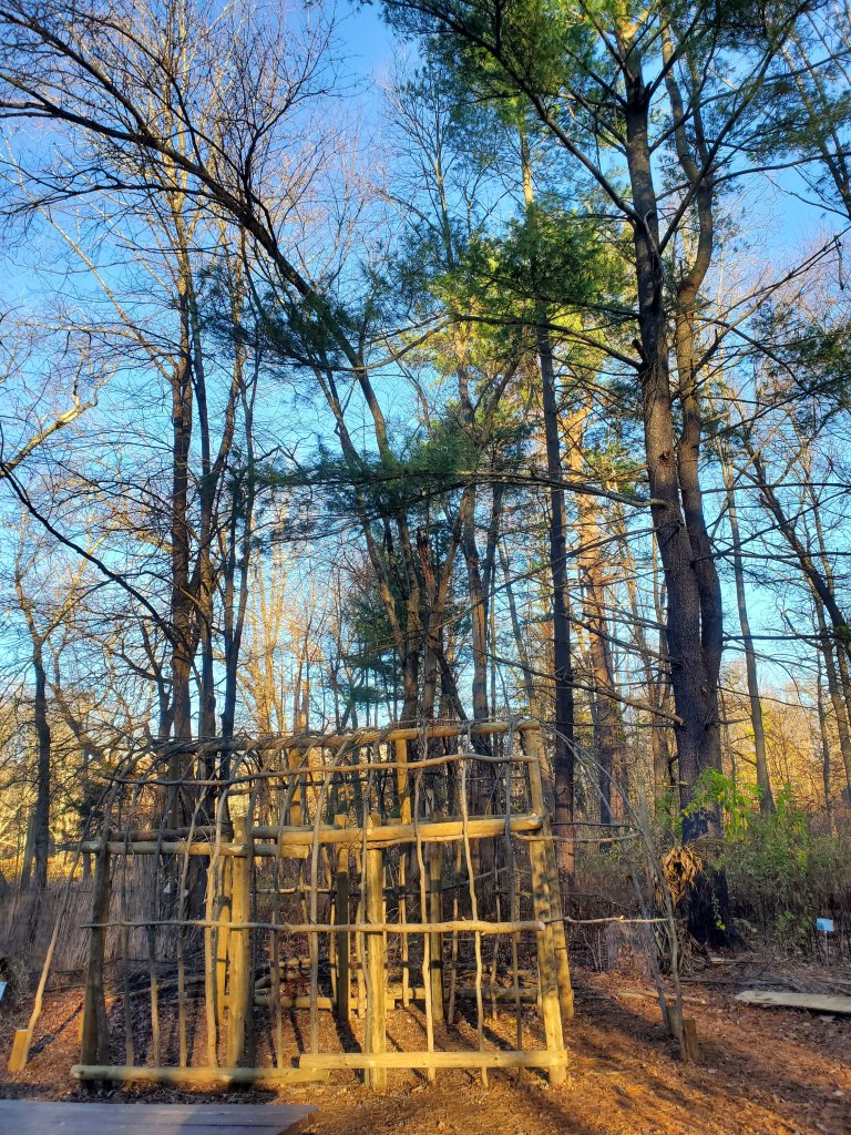 Building a Lenape Longhouse as an Eagle Scout Project – Nature Into Action