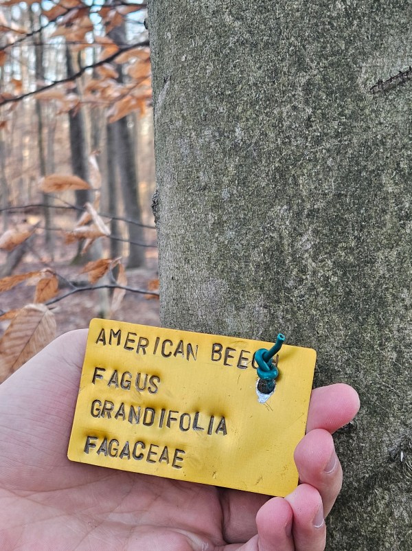 Tree Identification & Tagging – Eagle Scout Project – Nature Into Action